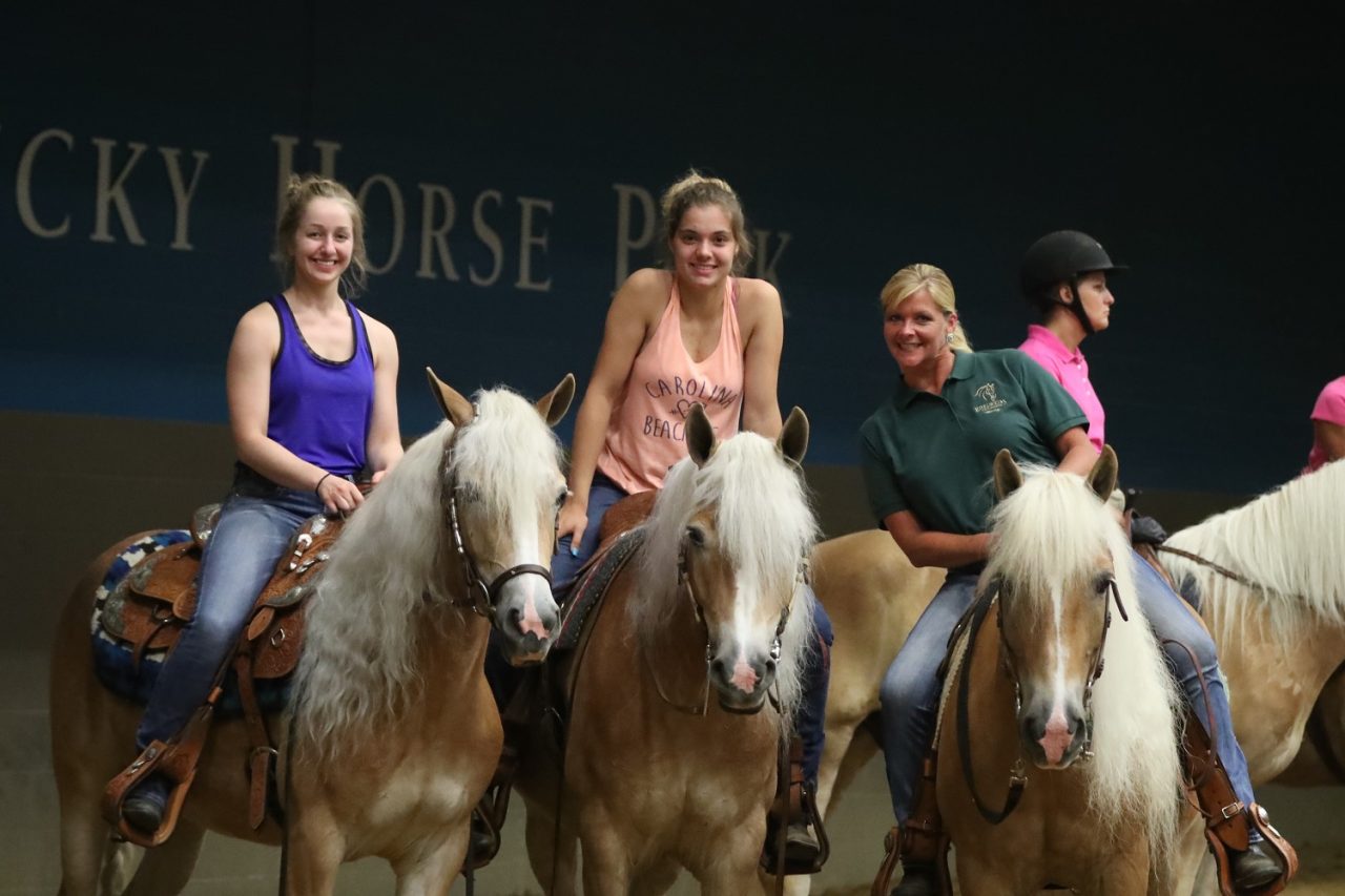 Breed Info – American Haflinger Registry